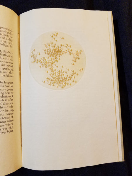 Reflections on the Short Life of the Ephemeron. Godine publisher. 1 of ...